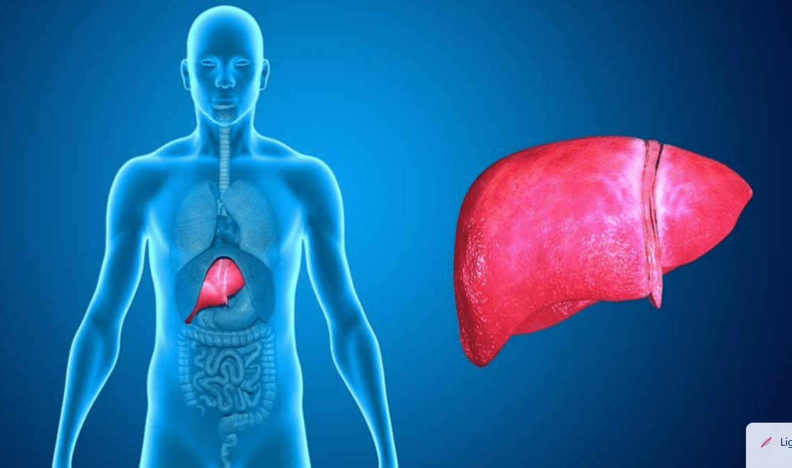 6 znakov da imate težave z jetri | Hills.si